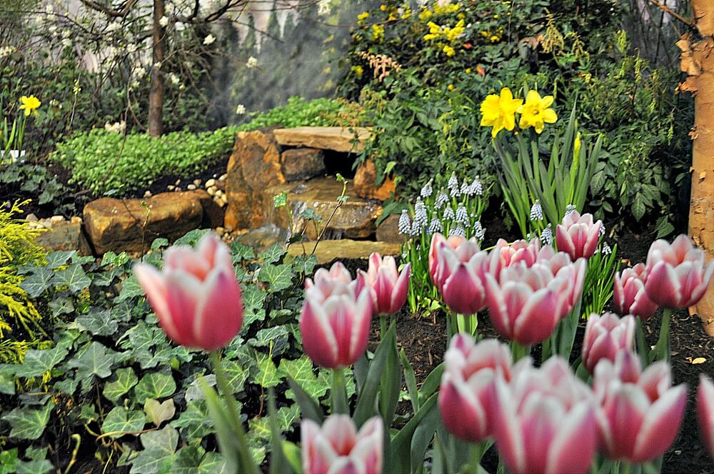 2017 Landscaping Costs Average Landscaping Services Prices